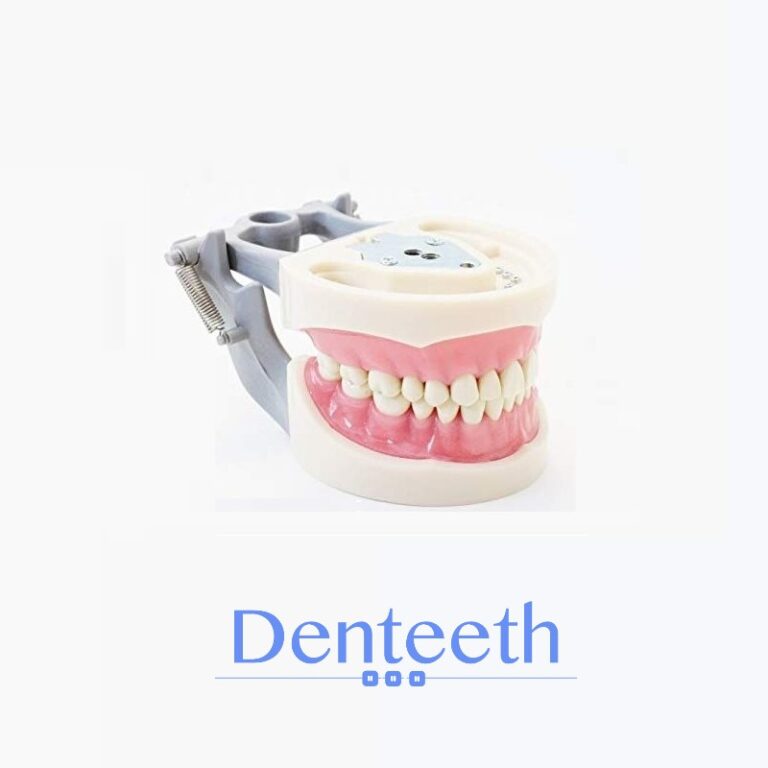 Modelos y Arcadas de Aprendizajes – Denteeth